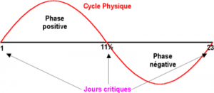 Biorythmie: connaitre son biorythme pour vivre mieux