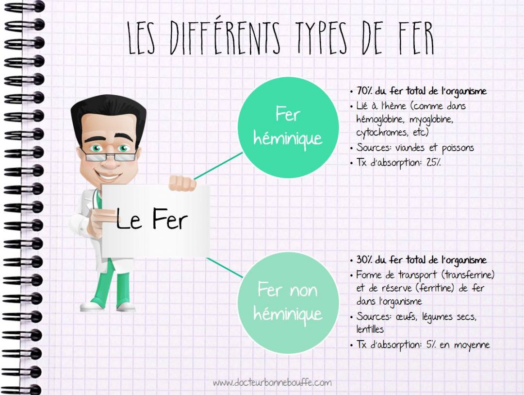 Petit cours de nutrition : à quoi sert le fer (Fe)