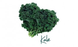 Le chou Kale, un chou frisé aux super-bienfaits