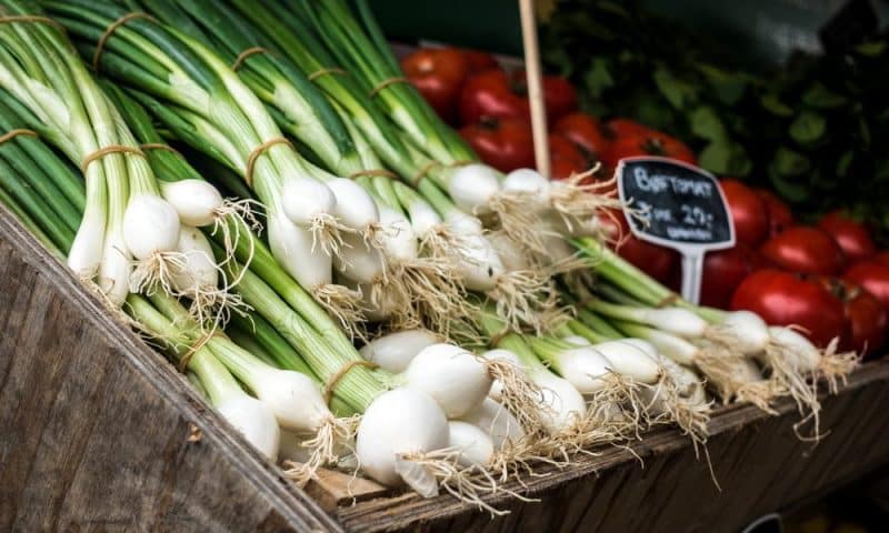 7 bonnes raisons de faire ses courses au marché